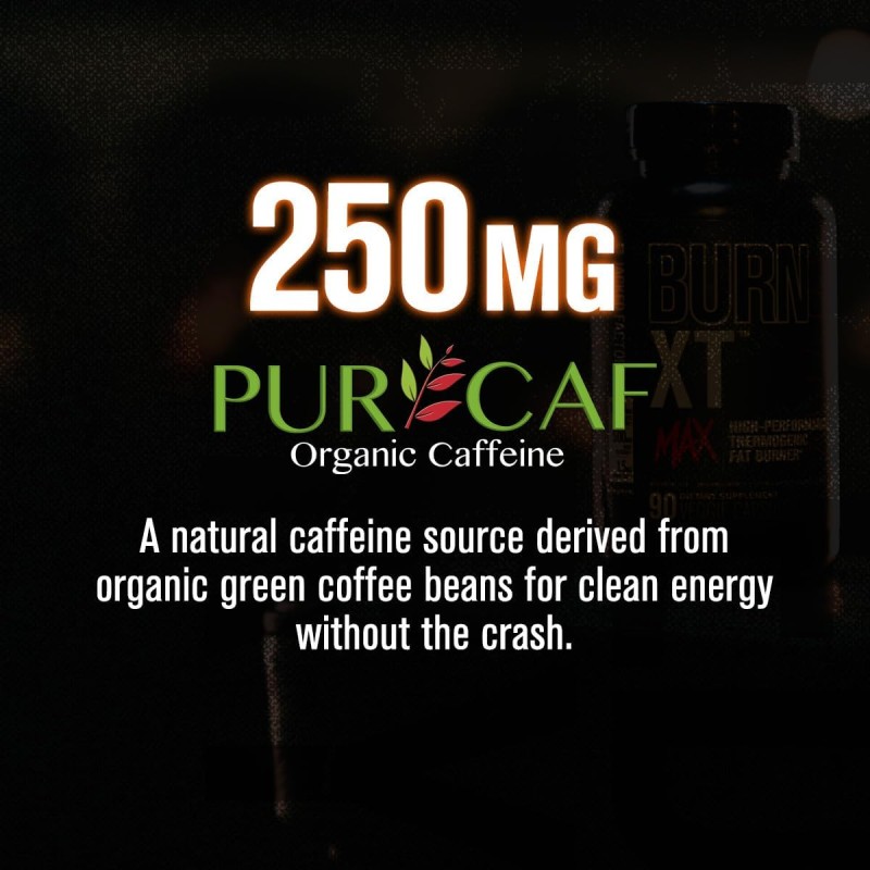 Burn-XT Max - Quemador de grasa termogénico de alto rendimiento